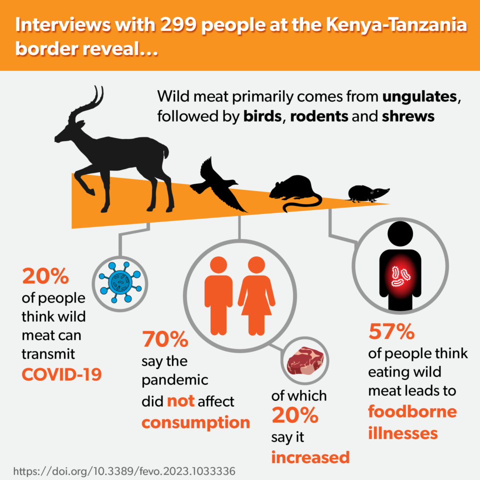 New study assesses disease risk perceptions of wild meat at the border ...