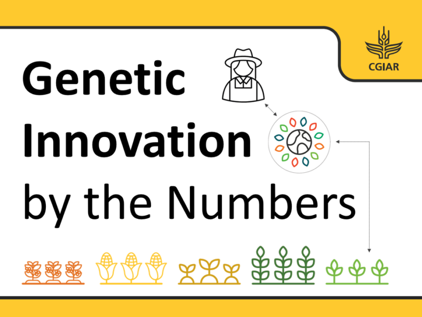 Infographic shows how CGIAR Genetic Innovation partnerships tackle ...