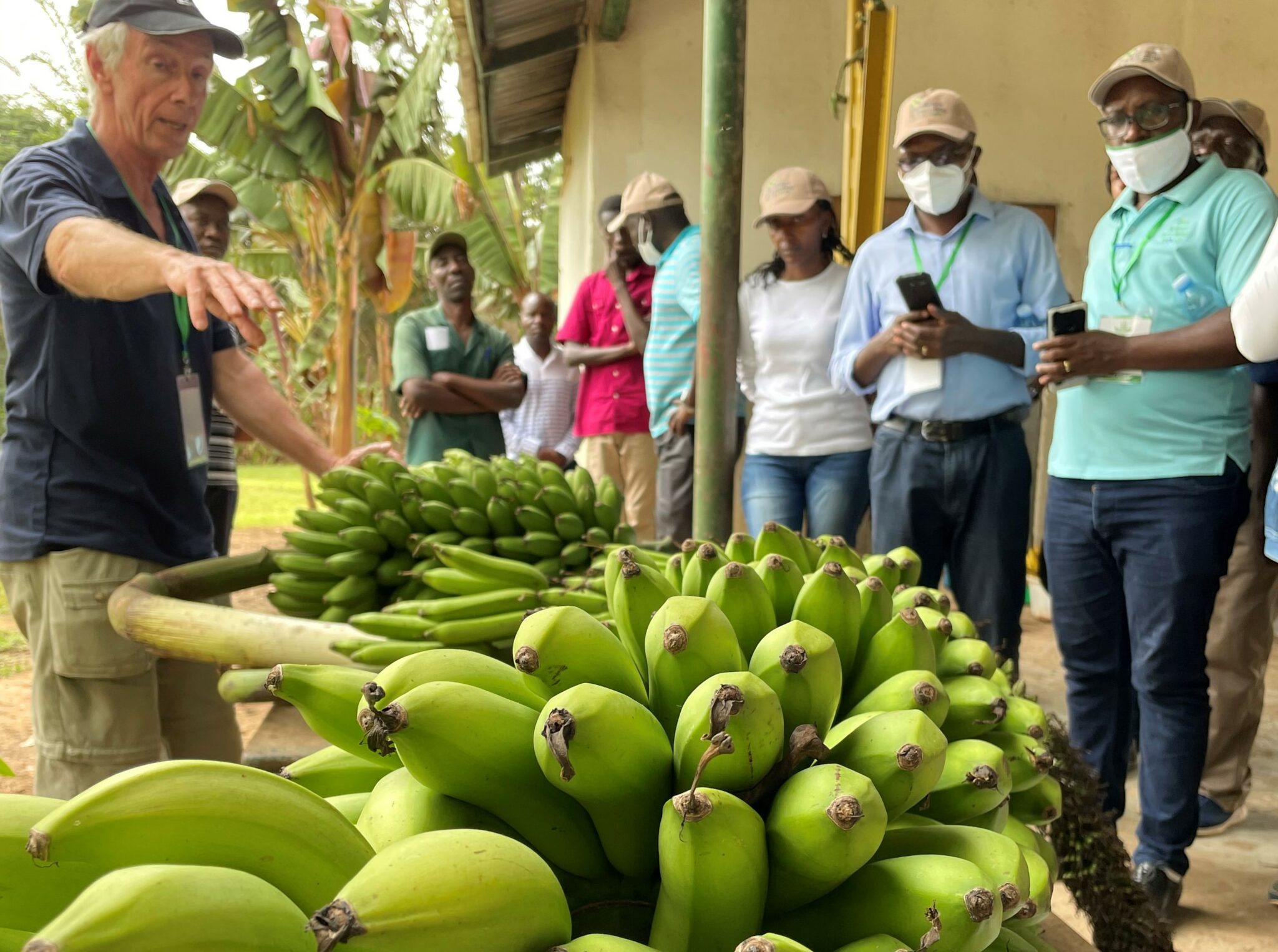 Blueprints for new varieties: CGIAR prepares new lab service with ...