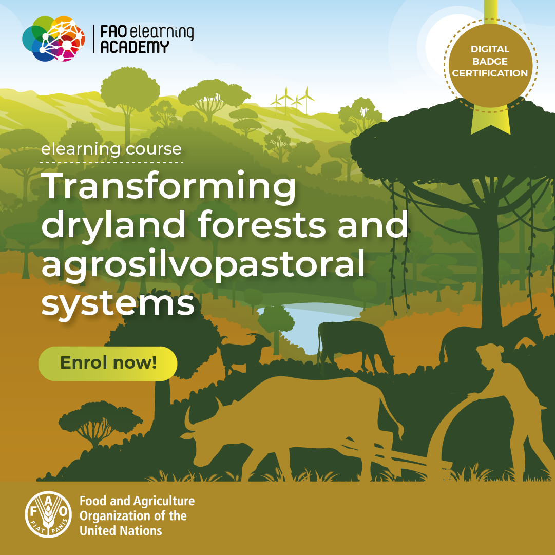 New e-learning course to tackle complex challenges of managing dryland ...