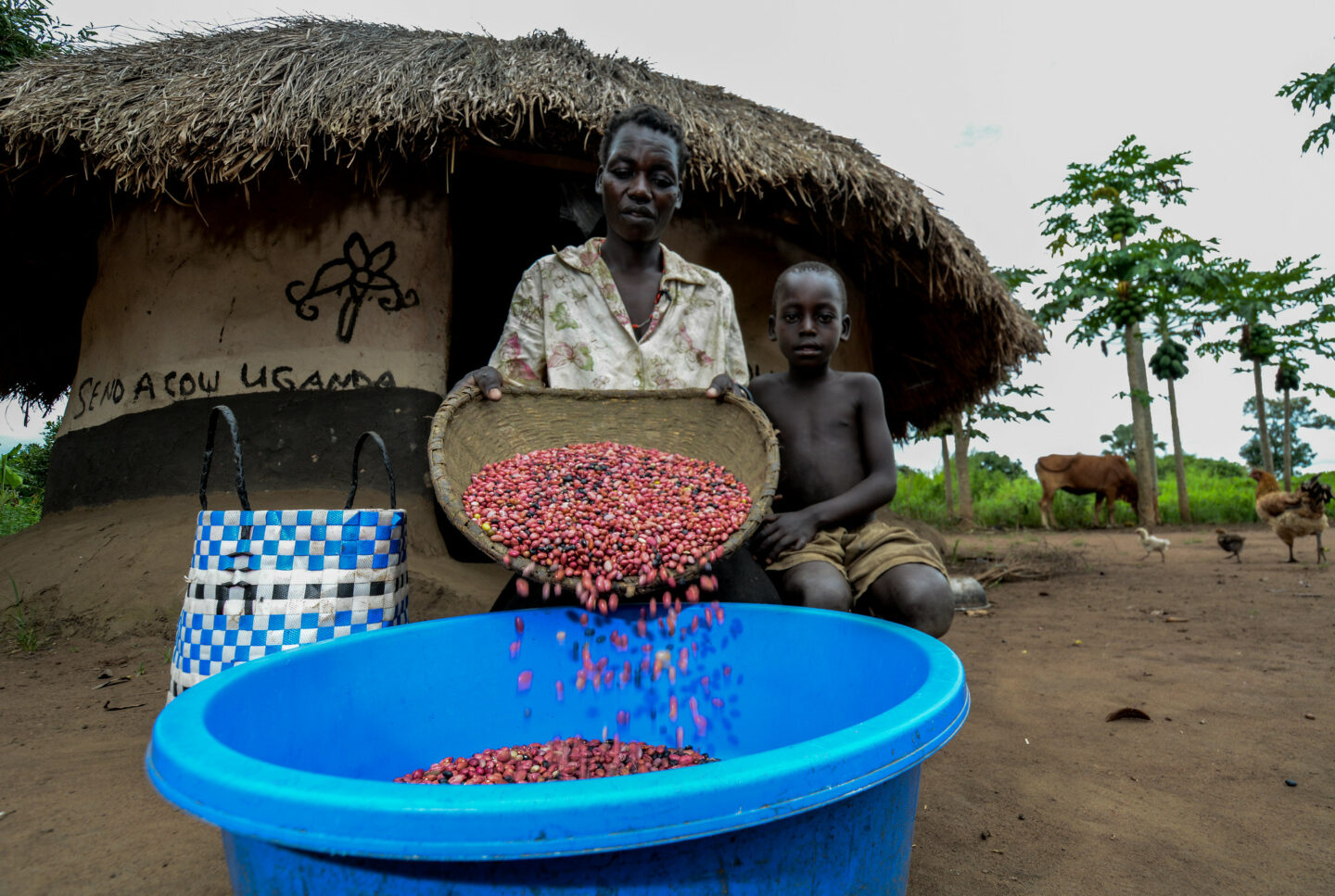 Food security is a national security issue everywhere - CGIAR