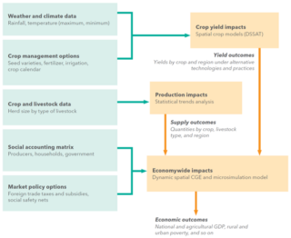 What do we know about the impacts of the next El Niño on agrifood ...
