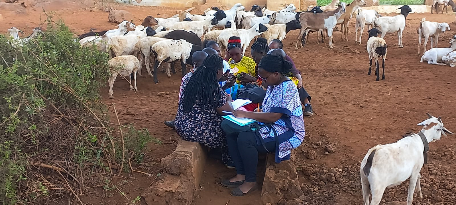 NATURE+ Initiative to provide policymakers with tools needed to ...