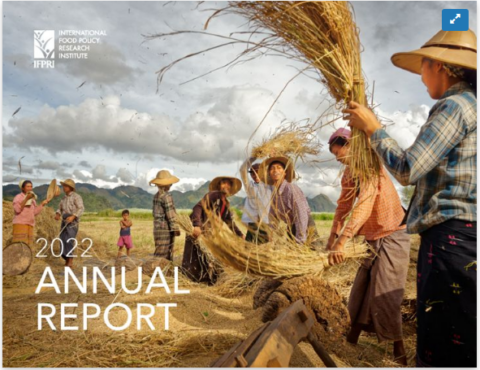 International Food Policy Research Institute (IFPRI) - CGIAR