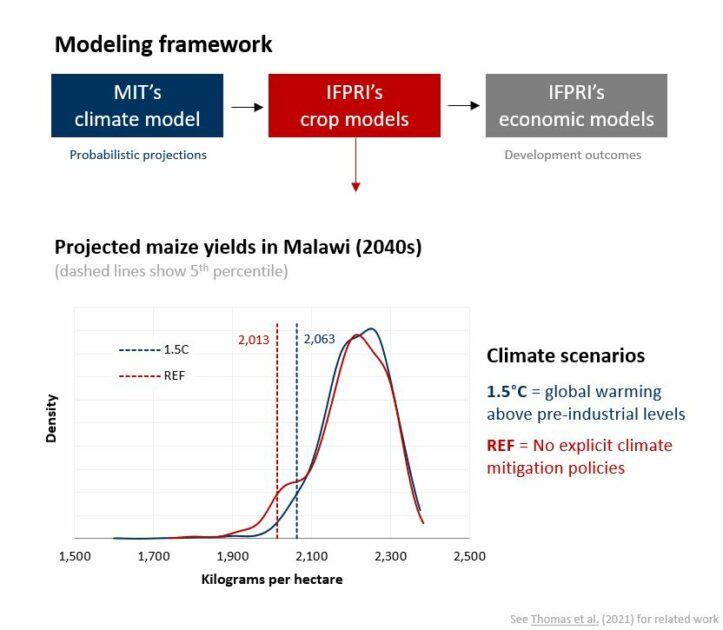 Foresight, climate change, and agrifood systems | CGIAR System