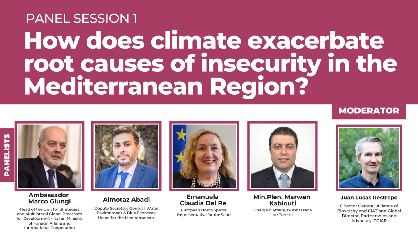 Advancing Climate Security in the Mediterranean: Toward a Shared Agenda ...