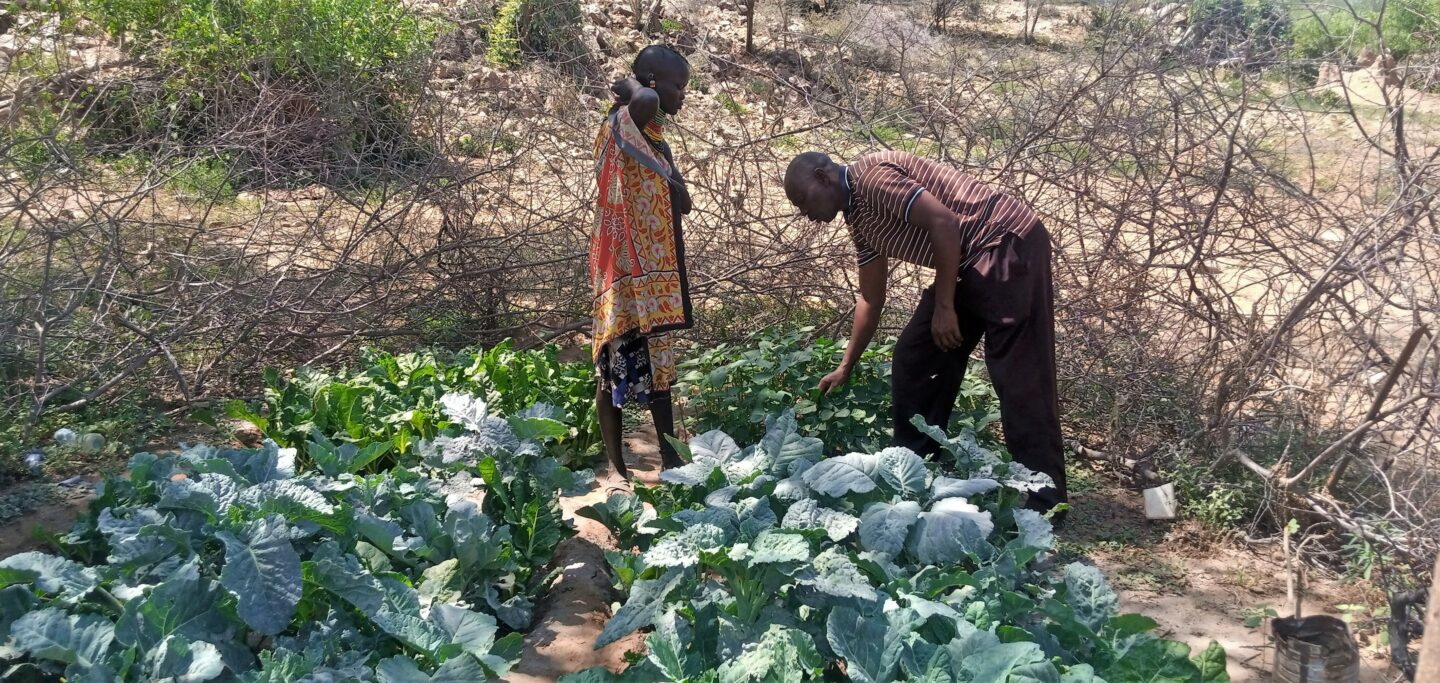 Turkana, Kenya: Reaping Immense Benefits of Vegetables Production ...