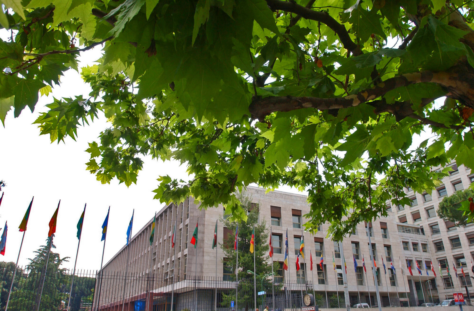 CGIAR announces new breeding data strategy and endorses single data ...