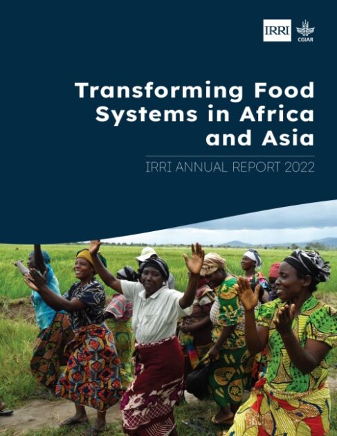 International Rice Research Institute (IRRI) - CGIAR