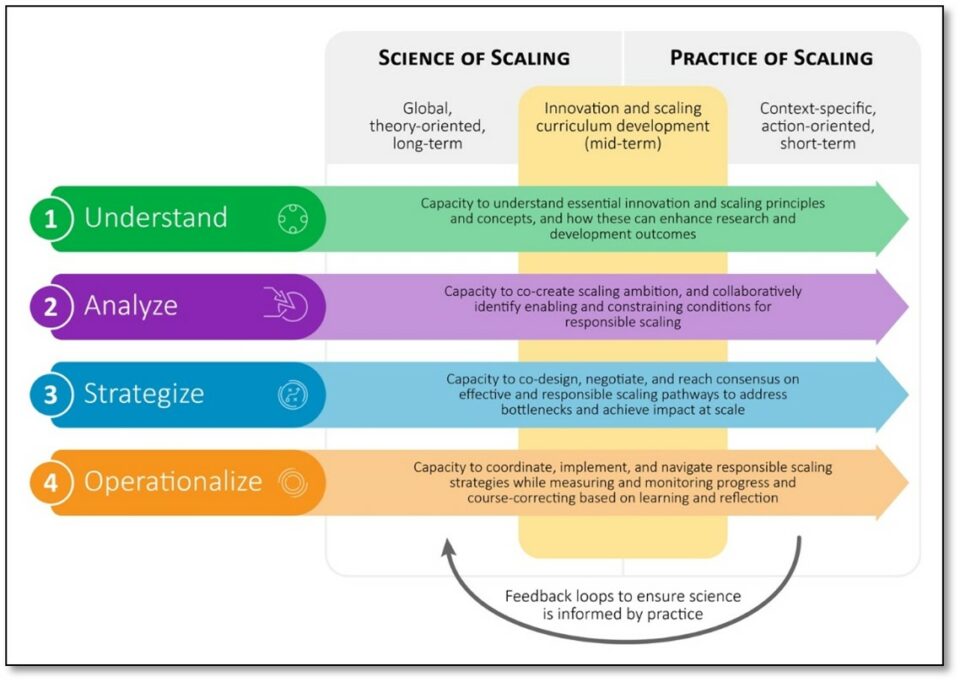 A guiding framework to boost Science and Practice of scaling innovation and three new roles to ...
