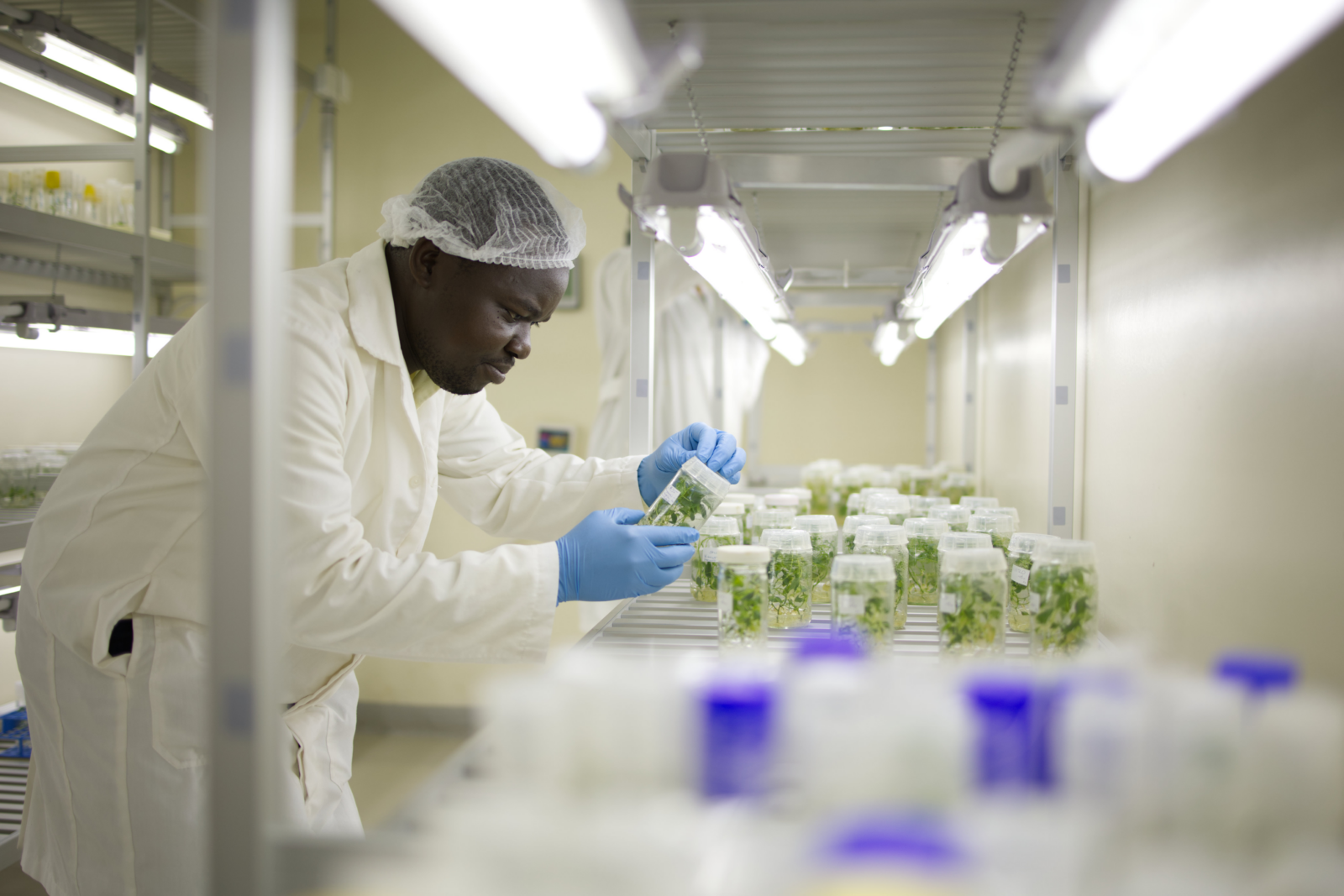 Inside Genetic Innovation’s process management: mapping processes to ...