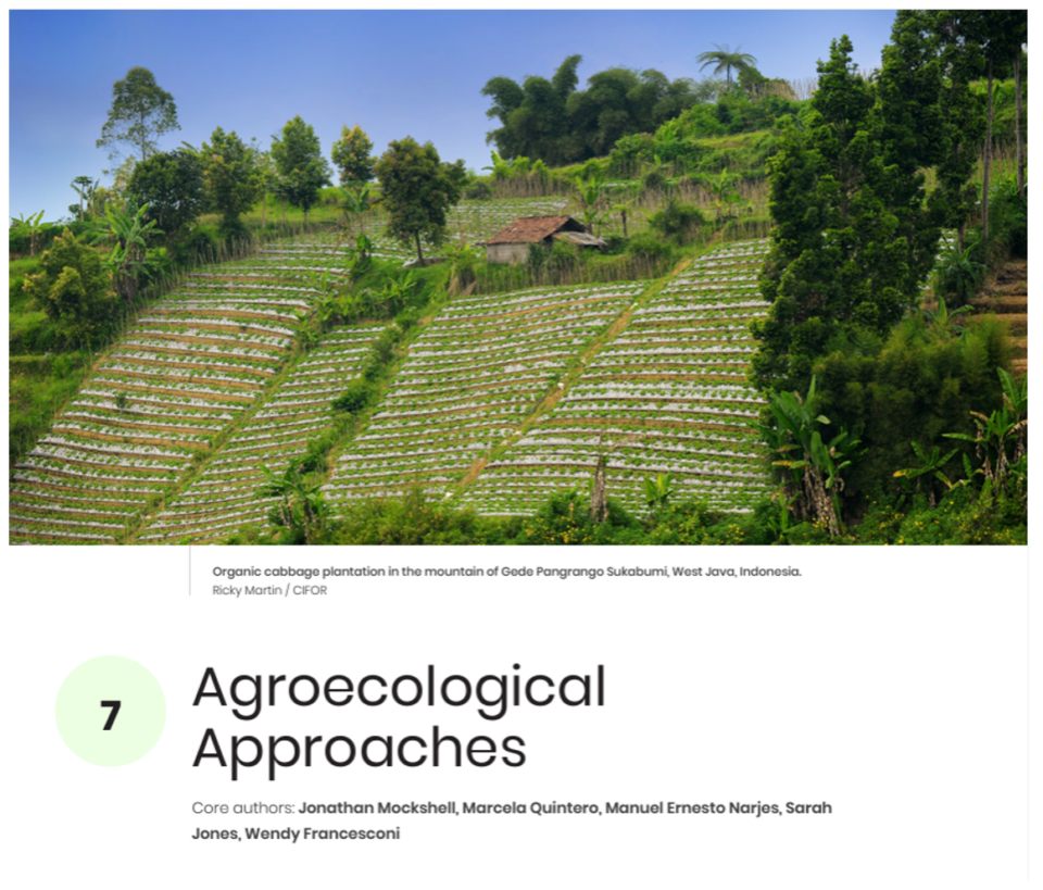 Agroecology can achieve breakthroughs in the agricultural sector ...
