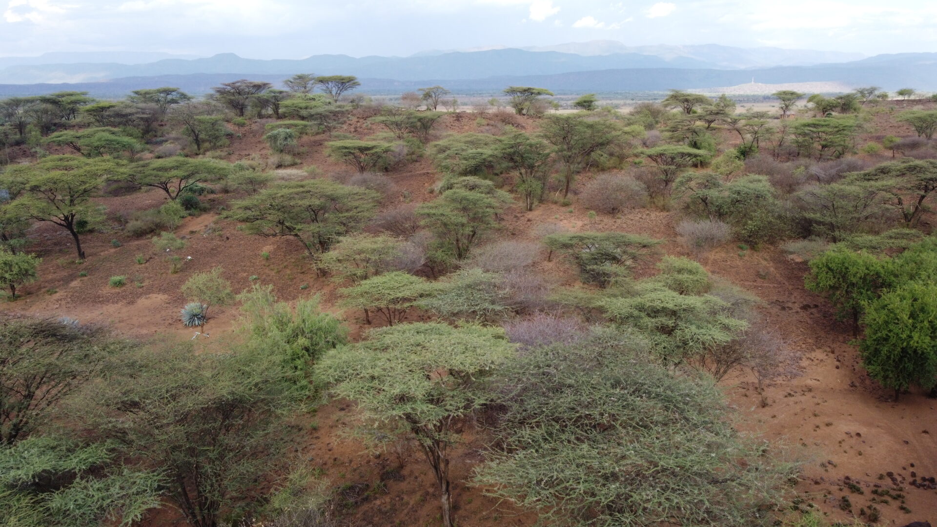 Participatory Rangeland Management included in Baringo County’s ...