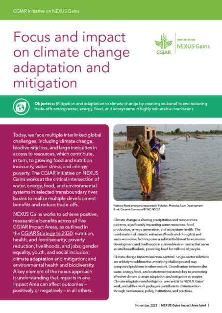 NEXUS Gains: Focus and impact on climate change adaptation and ...