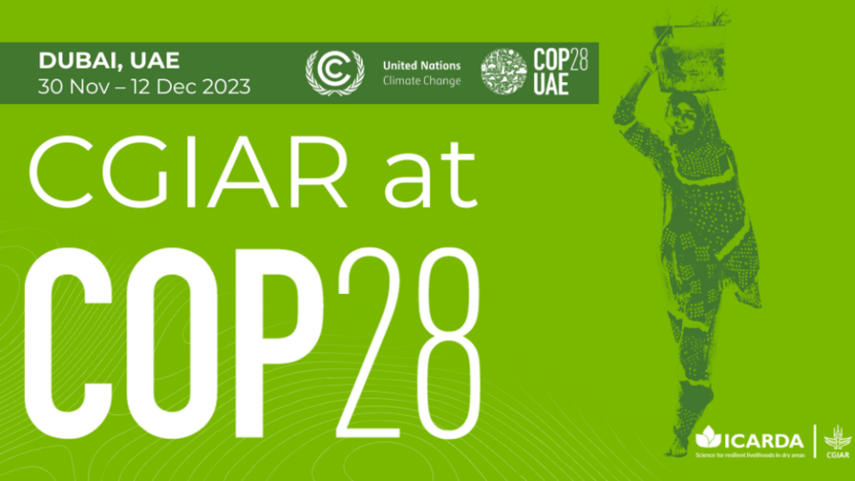 Advancing Climate-Resilient Agri-Food Systems at COP28 - CGIAR