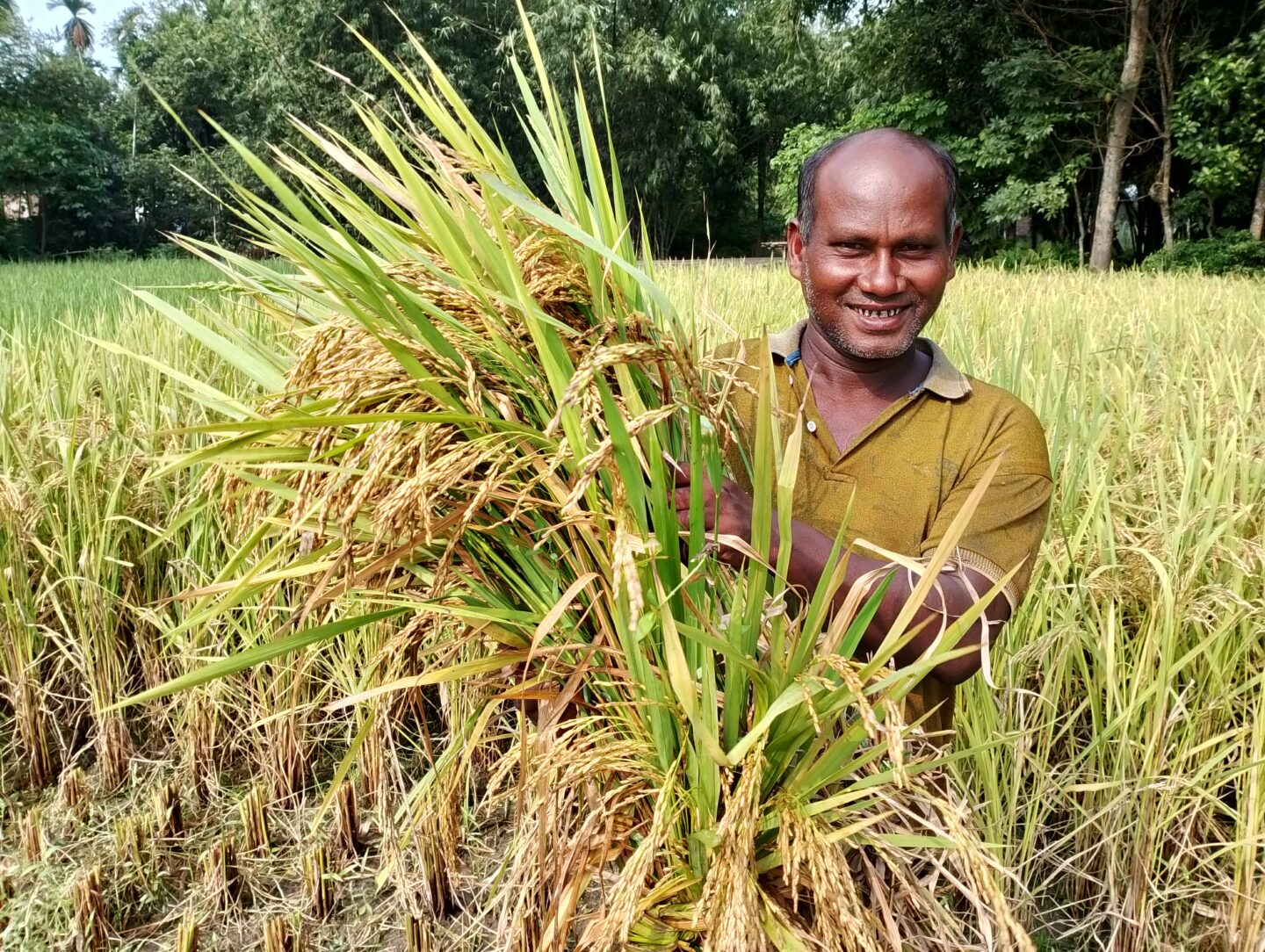 Empowering Bangladesh villages: Transforming small mixed farming systems through innovations - CGIAR