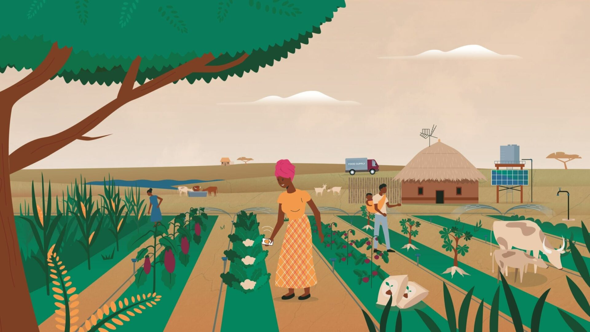 Transforming food, land, and water systems for resilience through innovative multi-level ...