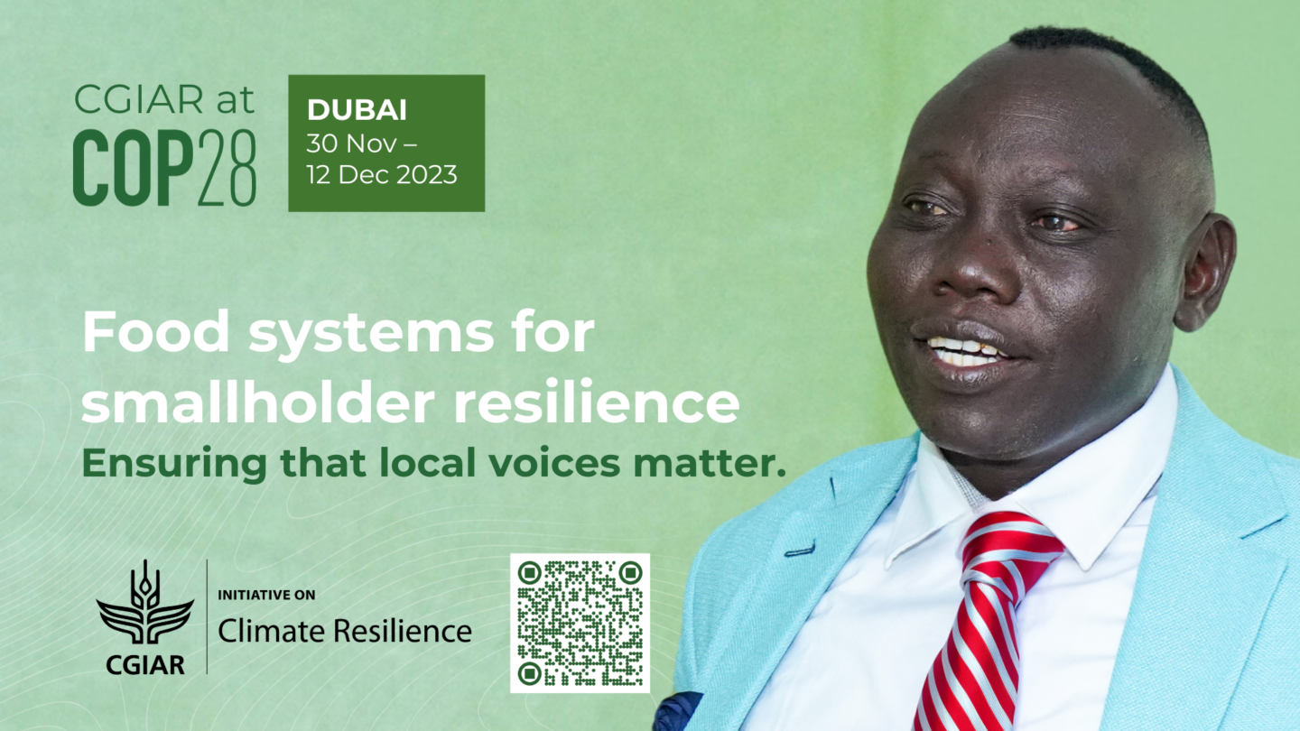 ClimBeR at COP28: Ensuring that local voices matter | CGIAR System