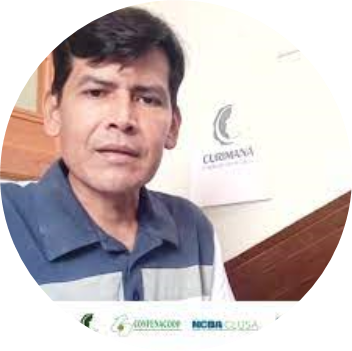 Leveraging agroecology transitions: Central messages from Initiative ...