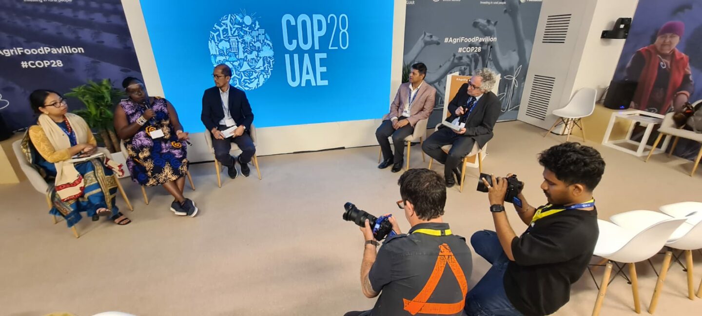 Not just energy reform: The global food agenda advances at COP28 - CGIAR