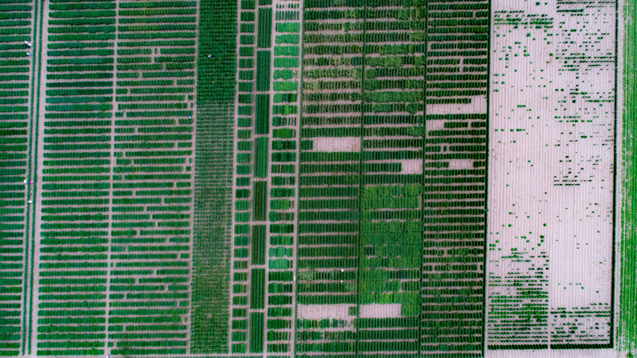 Funder and Grant size - CGIAR
