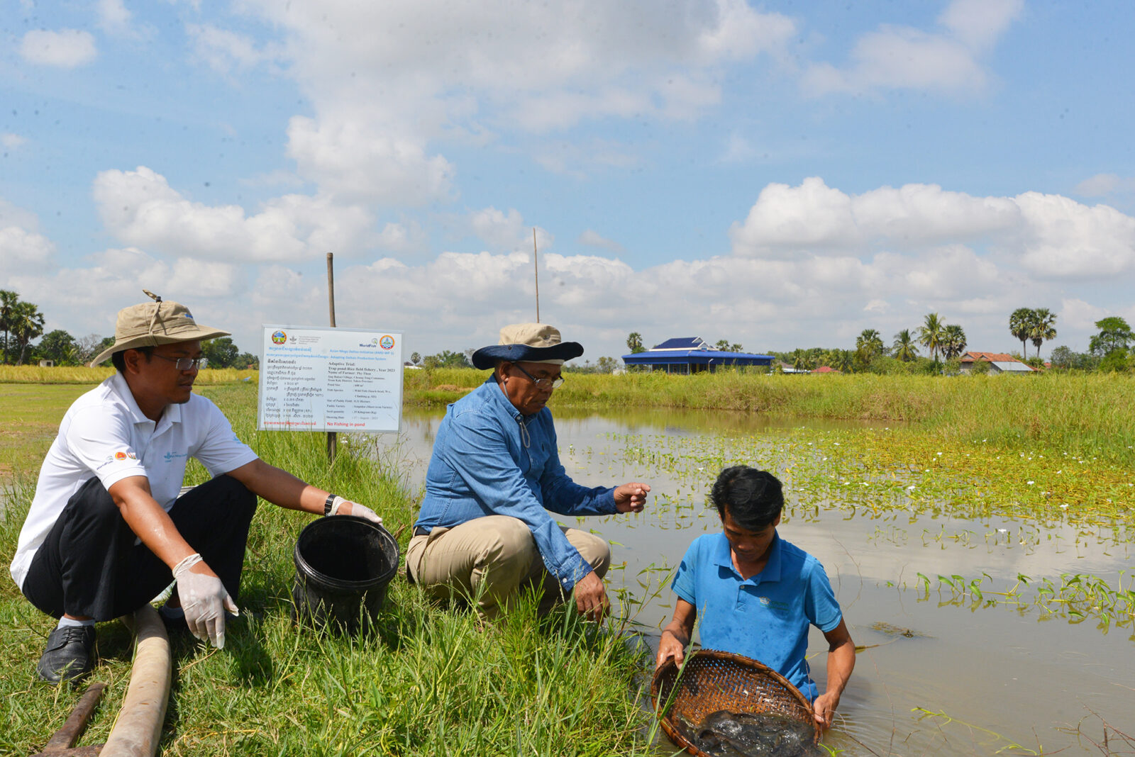 Unlocking the potential of rice field ponds for rural communities in ...