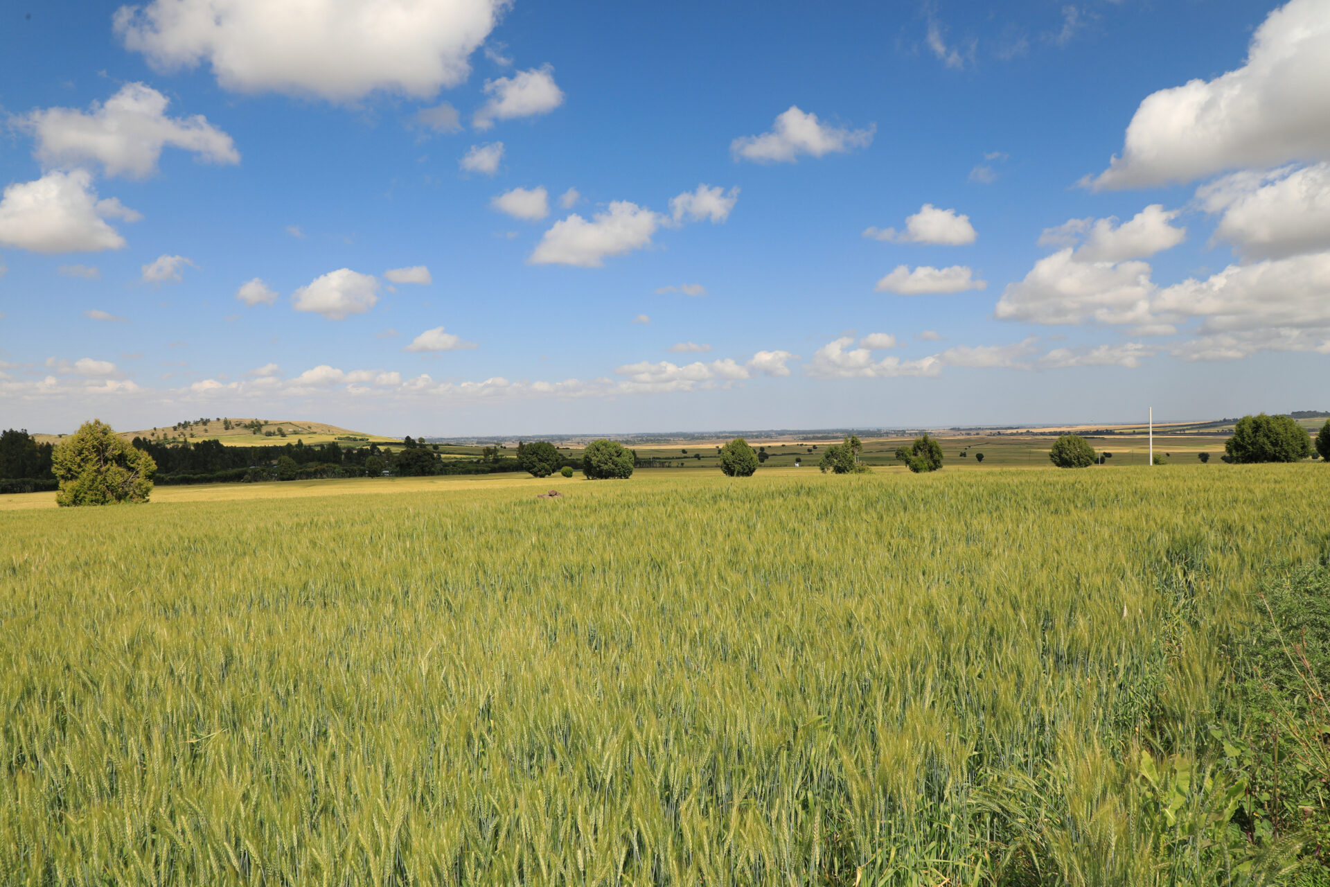 Farming for the Future: Optimizing Land Use with FarmDESIGN tool - CGIAR