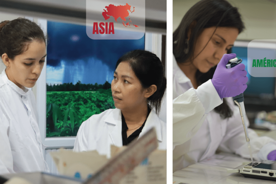 The Invisible Side of Science: Protecting Crops through Nanotechnology ...