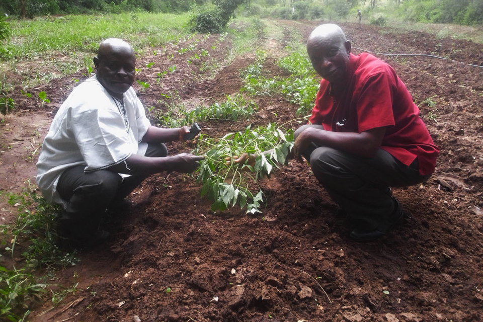 Growing nutrient-rich crops in Uganda: A recipe for success in Karamoja ...