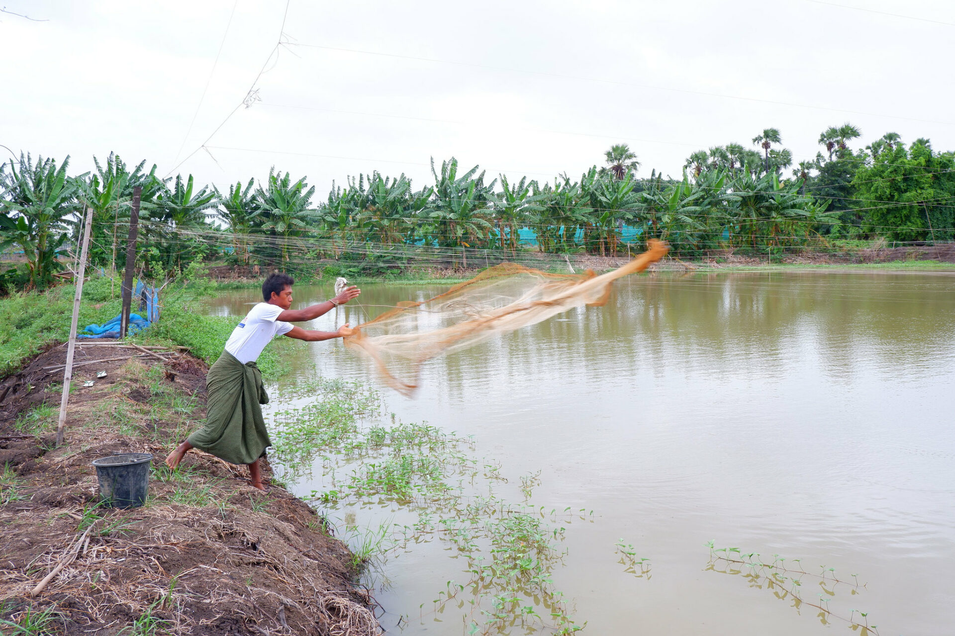 Better, or better not? The opportunities and challenges for sustainable ...