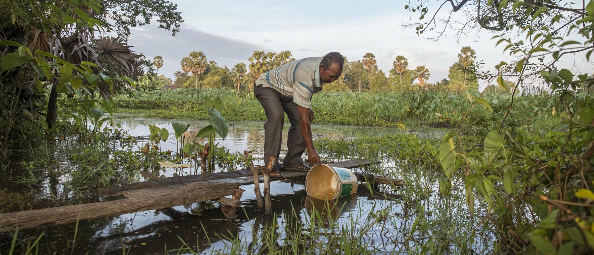 The WEFE nexus and One Health: Complex links present challenges and ...