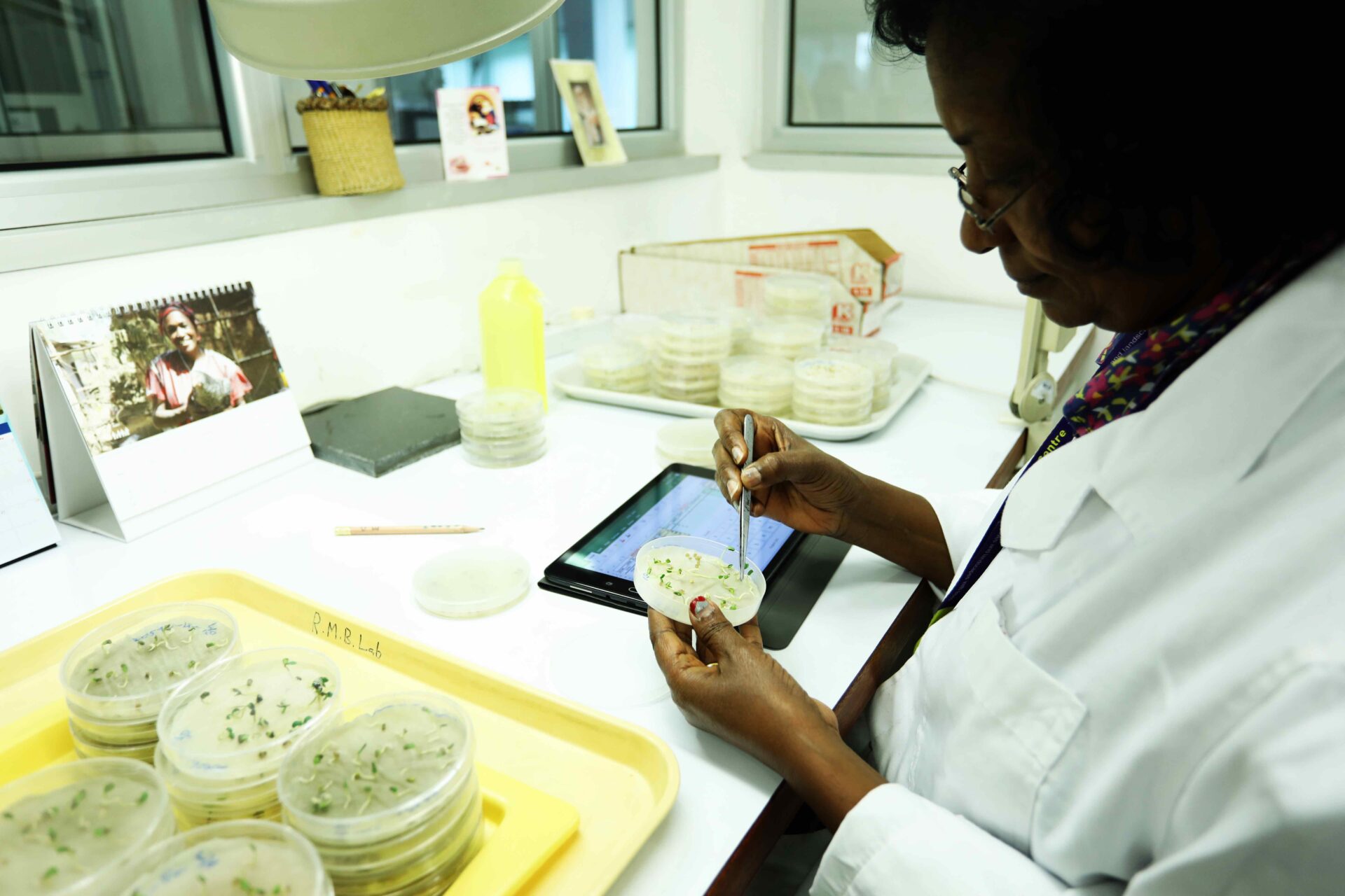 Meet CGIAR's Seed Doctors - CGIAR