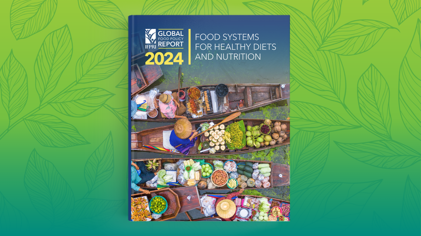 The 2024 Global Food Policy Report Stresses Urgent Need for ...