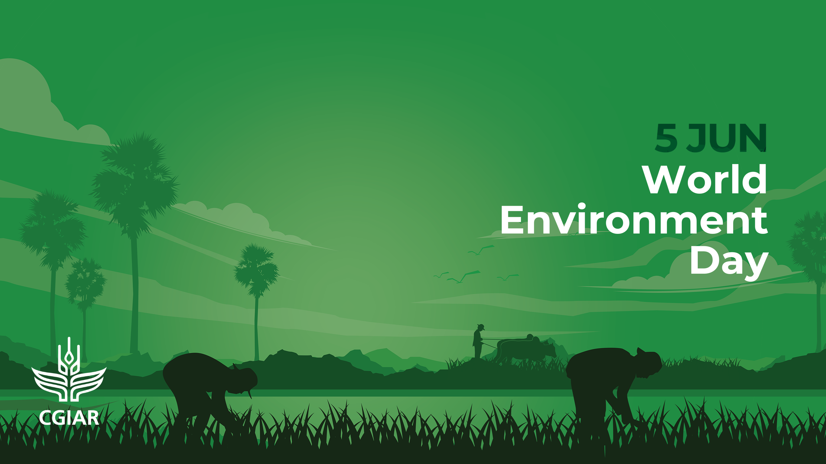 World Environment Day 2024 - CGIAR