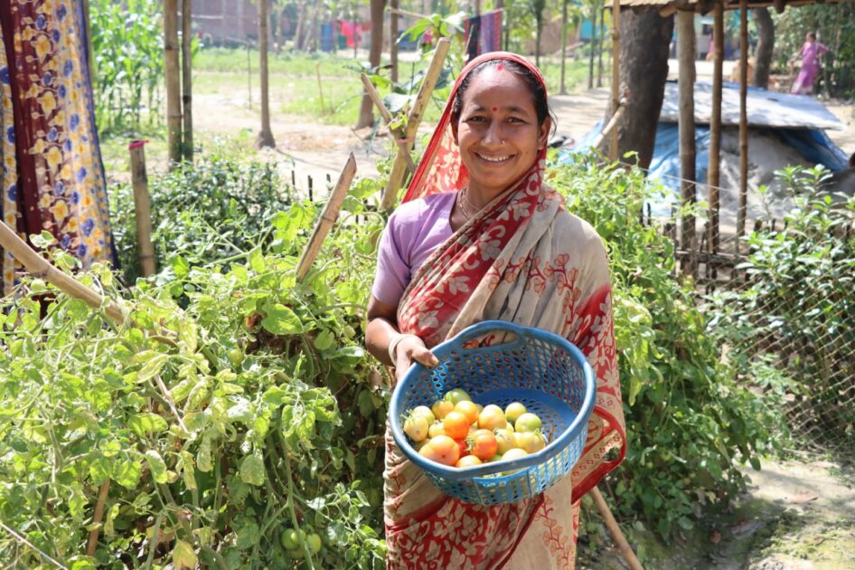 Empowering villages in Bangladesh through homestead vegetable ...