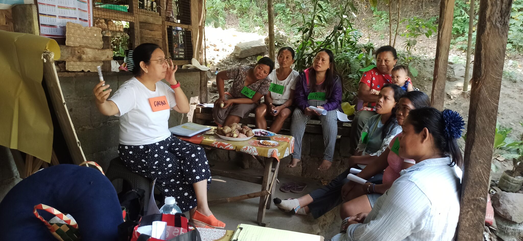Building community resilience in Eastern Luzon: Women lead the way - CGIAR