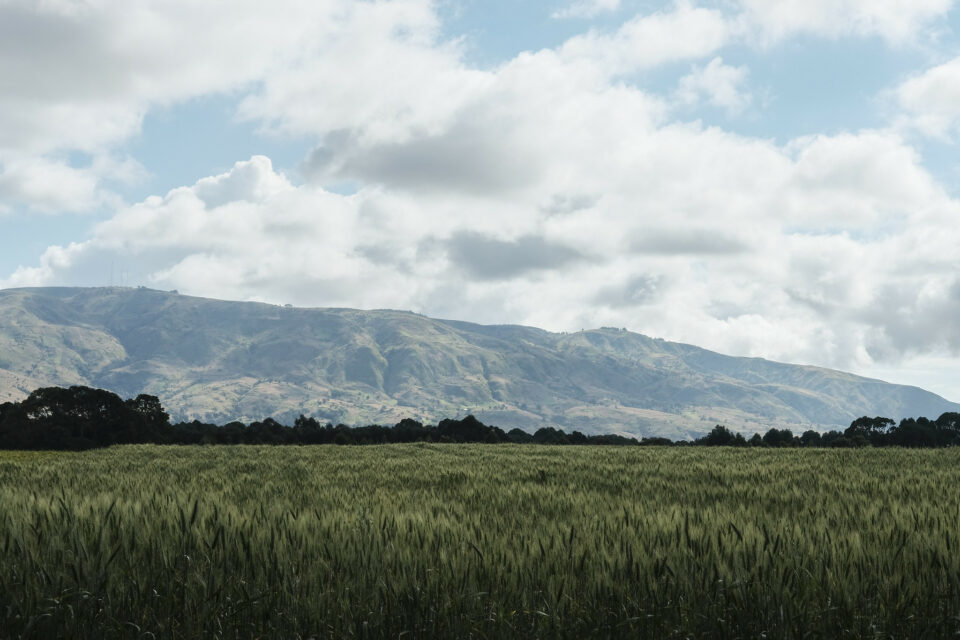 How multifunctional landscapes can deliver on global biodiversity goals - CGIAR