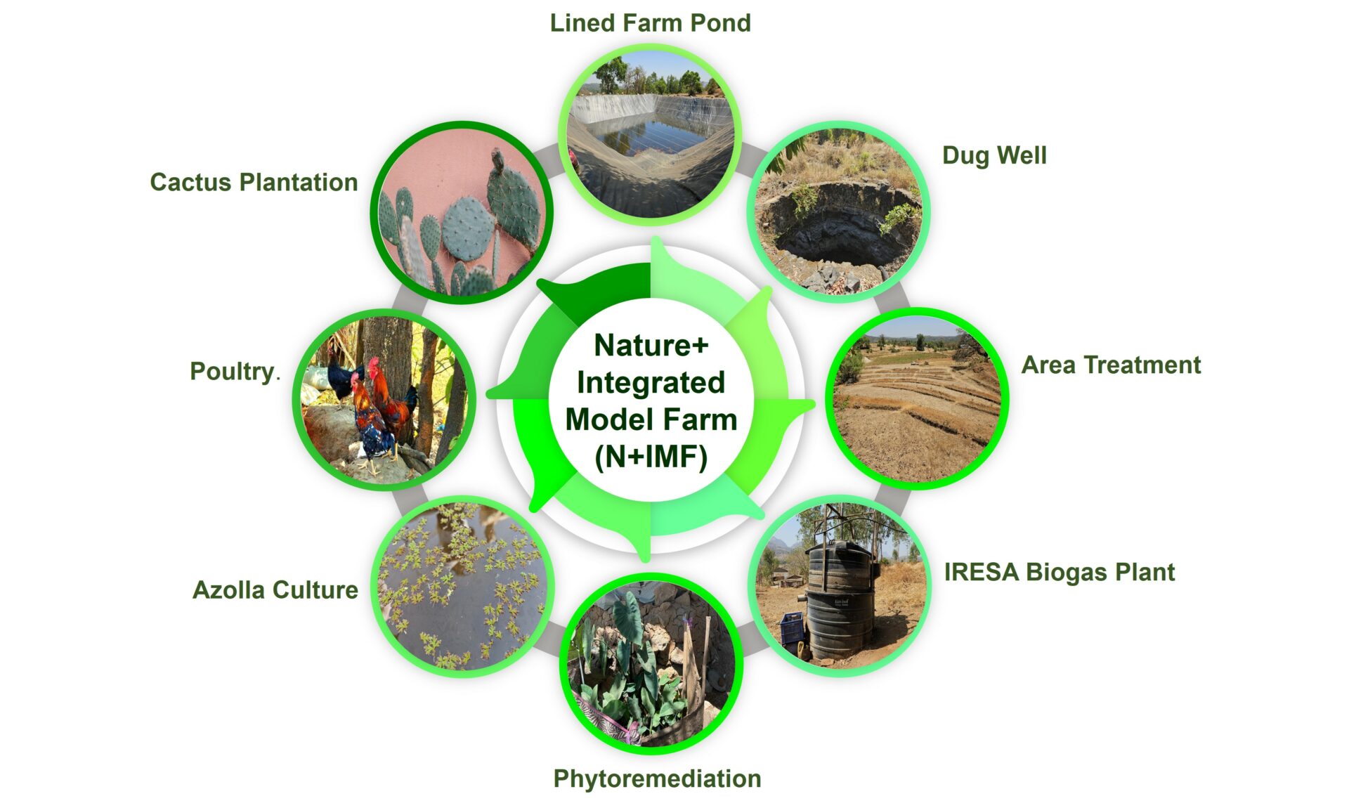 Nature-positive farms on remote hillsides in India show the future of ...