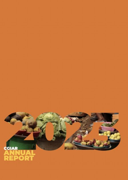 Loss and Damage - COP29 Updates - CGIAR