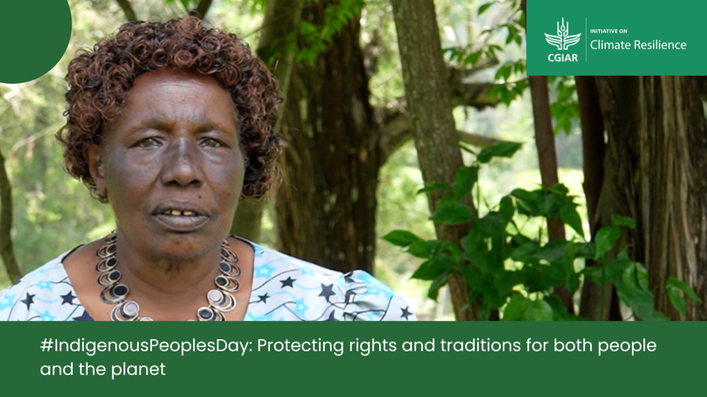 Indigenous Peoples' Day 2024: Protecting rights and traditions for both ...