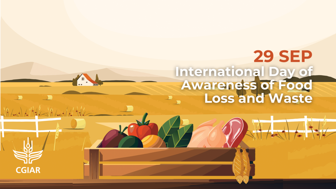 International Day of Awareness of Food Loss and Waste - CGIAR