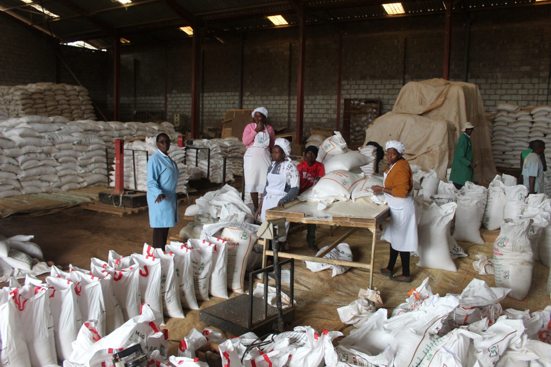 Scaling high-yield rice variety in Kenya: Placing farmer cooperatives ...