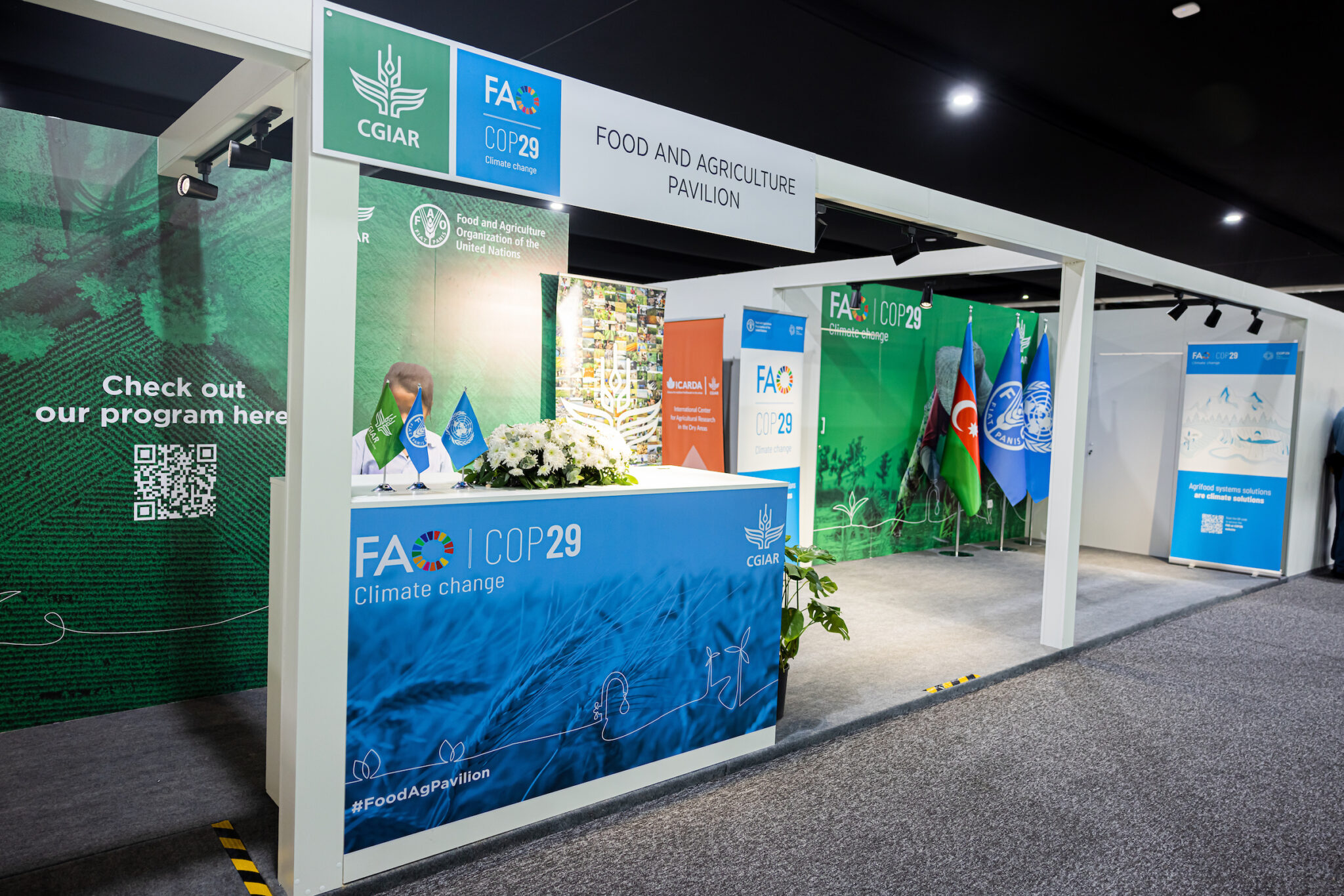 Loss and Damage - COP29 Updates - CGIAR