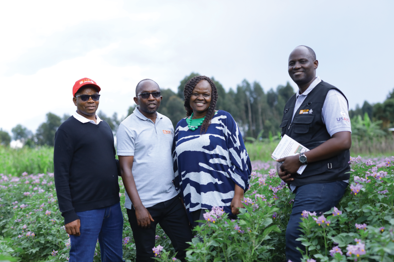 The Partnership drives Early Generation Seed production for new potato ...