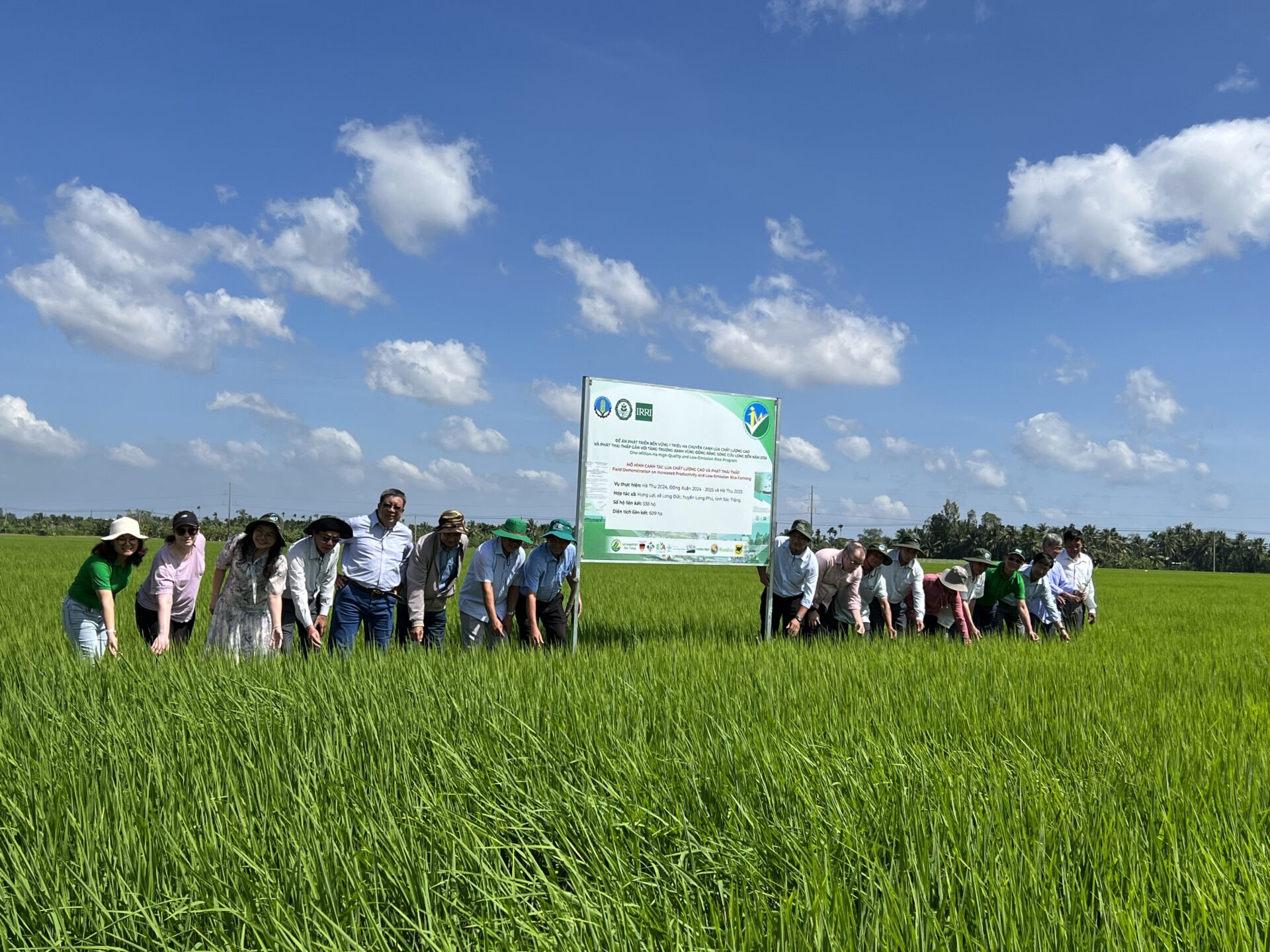International collaboration drives Vietnam’s low-emission rice program ...