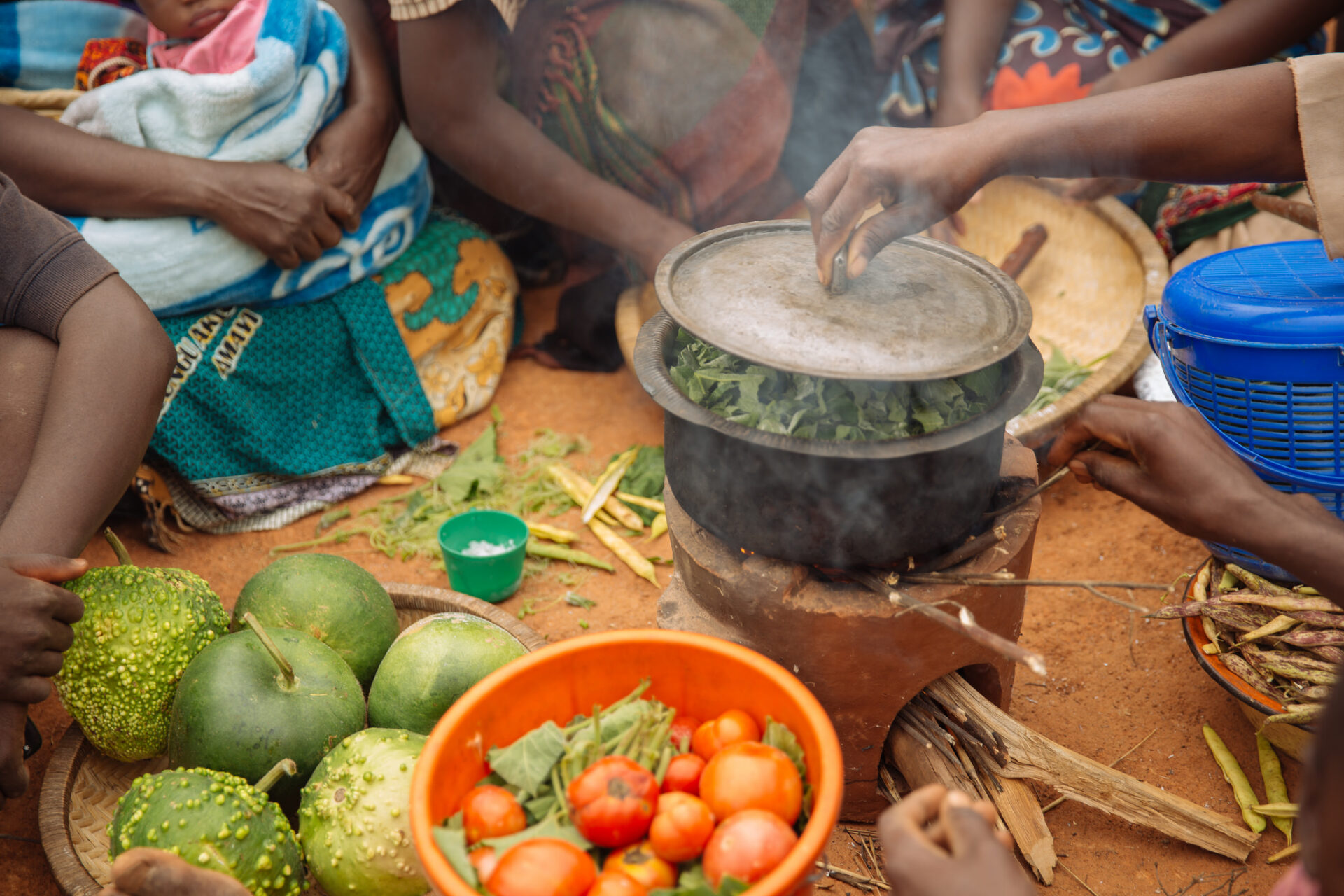New Report Identifies Progress and Challenges in Food Systems Transformation in Countdown to ...