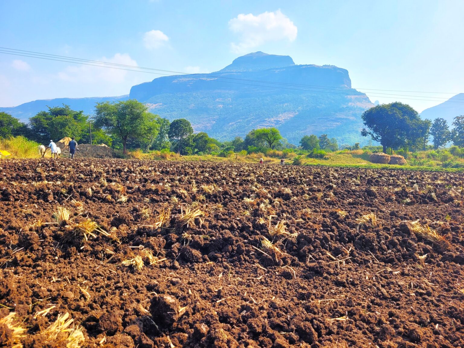 Building Resilient Water Systems in Akole and Shahada, India: A ...