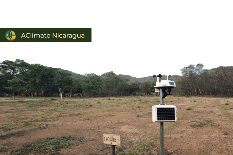Al día con el clima: Aclimate ahora disponible para Nicaragua - CGIAR