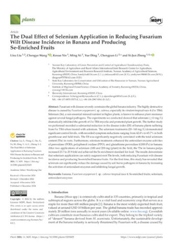 The dual effect of selenium application in reducing Fusarium wilt disease incidence in banana ...