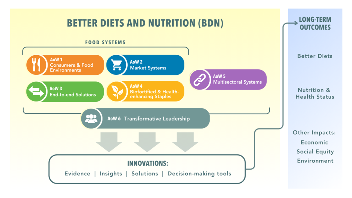 Transforming Food Systems for Healthier Lives: Launch of the CGIAR ...